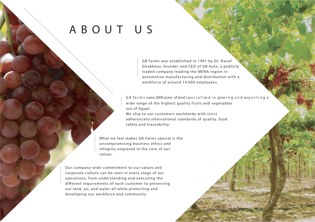 About Us – GB Farms